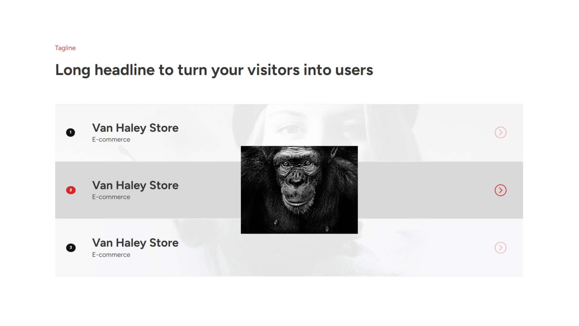 Alpha Library | Bricksmaven